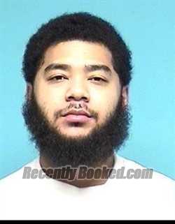 Recent Booking / Mugshot for PERRY E Junior WELLS in Lorain County, Ohio