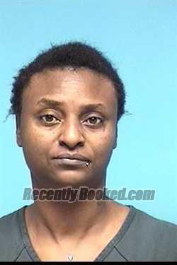 Recent Booking / Mugshot for ASHLEY N BROWN in Lorain County, Ohio