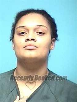 Recent Booking / Mugshot for MADELYN MICHELLE JENKINS in Lorain County ...