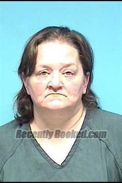 Recent Booking / Mugshot for AMY HARRIS in Lorain County, Ohio
