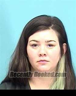 Recent Booking / Mugshot for ASHLEY M HEIN in Lorain County, Ohio