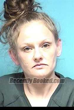 Recent Booking / Mugshot for CRYSTAL M SIMKO in Lorain County, Ohio