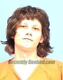 Recent Booking / Mugshot for BRANDON BURGETTE in Lorain County, Ohio