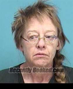 Recent Booking / Mugshot for CYNTHIA R FELLOWES in Lorain County, Ohio