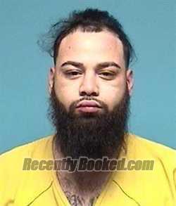 Recent Booking / Mugshot for AUSTIN WAYNE SHEPPARD in Lorain County, Ohio