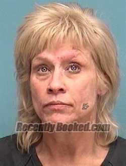 Recent Booking / Mugshot for MARY D GAWLIKOWSKI in Lorain County, Ohio
