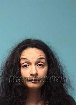 Recent Booking / Mugshot for RENEE SALVA in Lorain County, Ohio
