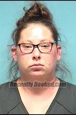 Recent Booking / Mugshot for JENNIFER N WEBB in Lorain County, Ohio
