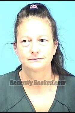 Recent Booking / Mugshot for GINGER R BURKEY in Lorain County, Ohio