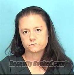 Recent Booking / Mugshot for STACY LYNN WYSOCKI in Lorain County, Ohio