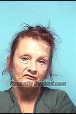 Recent Booking / Mugshot for LISA GAIL BURGESS in Lorain County, Ohio