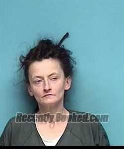 Recent Booking / Mugshot for SANDRA VIOLET BEAVER in Lorain County, Ohio