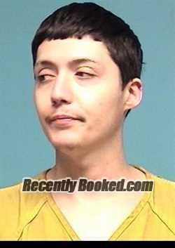 Recent Booking / Mugshot for DANIEL EDWARD BABICS in Lorain County, Ohio