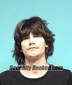 Recent Booking / Mugshot for BRANDON BURGETTE in Lorain County, Ohio