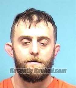 Recent Booking / Mugshot for BRIAN P DAVIS in Lorain County, Ohio
