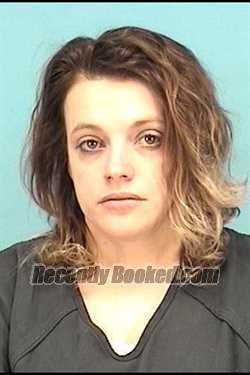 Recent Booking / Mugshot for HEATHER R RISING in Lorain County, Ohio