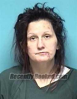 Recent Booking / Mugshot for CRYSTAL HIGGINS in Lorain County, Ohio