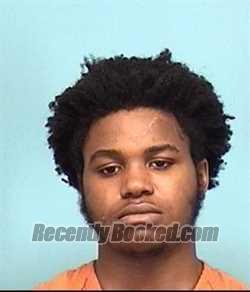 Recent Booking / Mugshot for MICHAEL JOSEPH RIGGINS in Lorain County, Ohio