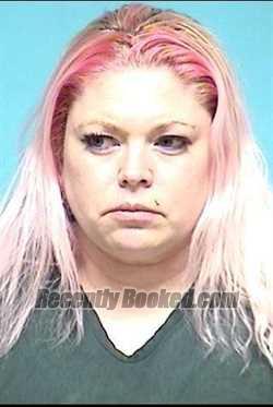 Recent Booking / Mugshot for BRANDY ANN WILLIAMSON in Lorain County, Ohio