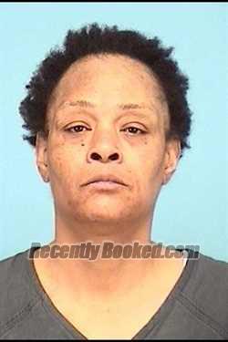 Recent Booking / Mugshot for APRIL T STEVENSON in Lorain County, Ohio