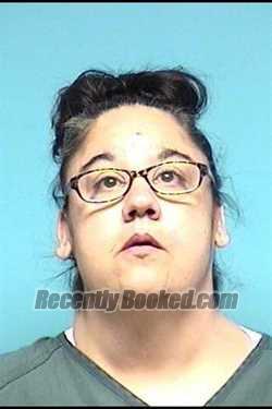 Recent Booking / Mugshot for JAMIE N NOWLIN in Lorain County, Ohio