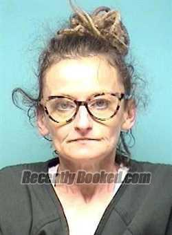 Recent Booking / Mugshot for SANDRA VIOLET BEAVER in Lorain County, Ohio
