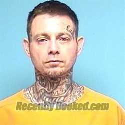 Recent Booking / Mugshot for TERRY W GOODPASTER in Lorain County, Ohio