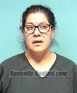 Recent Booking / Mugshot for CELIA V CASTANEDA in Lorain County, Ohio
