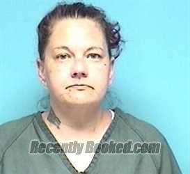 Recent Booking / Mugshot for DEBRA A RICH in Lorain County, Ohio