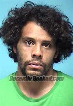 Recent Booking / Mugshot for TYLER J OLIVER in Lorain County, Ohio