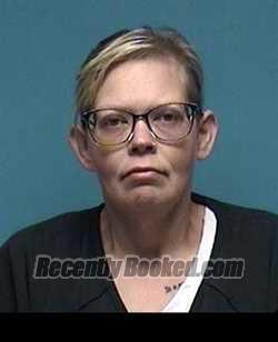 Recent Booking / Mugshot for AMBER LYNN ROLLINS in Lorain County, Ohio