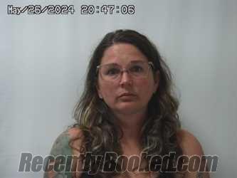 Recent Booking / Mugshot for DANIELLE JOHNSON in Madison County, Ohio
