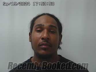 Dominic Troutman Arrest & Booking Info | Madison County, OH