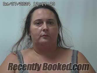Recent Booking / Mugshot for JAMIE WILSON in Madison County, Ohio