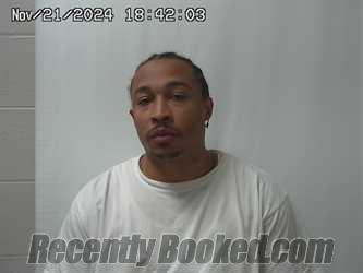 Recent Booking / Mugshot for ROBERT DODSON in Madison County, Ohio