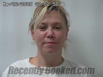 Recent Booking / Mugshot for VICKI KAVANAGH in Madison County, Ohio