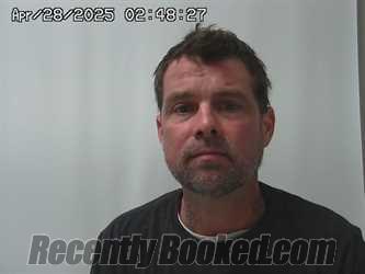 Recent Booking / Mugshot for SHAUN MITCHELL in Madison County, Ohio