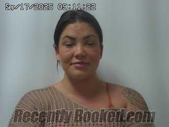 Recent Booking / Mugshot for AMANDA COOK in Madison County, Ohio