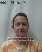 Recent Booking / Mugshot for STACEY LYNN CHENAULT in Madison County, Ohio