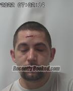 Recent Booking / Mugshot for LARRY ROY STEPP II in Madison County, Ohio
