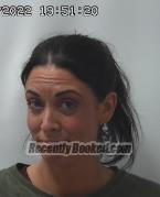 Recent Booking / Mugshot for APRIL LYNN KELLEY in Madison County, Ohio