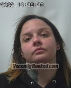Recent Booking / Mugshot for JESSIKA MARIE GINGERICH in Madison County ...