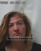 Recent Booking / Mugshot for JERI DEE GRIFFITH in Madison County, Ohio
