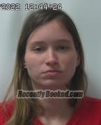 Recent Booking / Mugshot for BRITTANY TAYLOR FRALEY in Madison County, Ohio