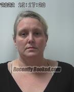 Recent Booking / Mugshot for ALISON ROSE LOPEZ in Madison County, Ohio