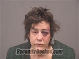 Recent Booking / Mugshot for HEATHER CUTLIP in Mahoning County, Ohio