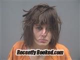 Recent Booking / Mugshot for ABBY LYNN PIERSON in Mahoning County, Ohio