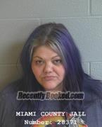 Recent Booking / Mugshot for ALYSSA KAY CASTILLO in Miami County, Ohio