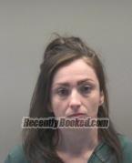 Recent Booking / Mugshot for JAMIE LEE WILLIAMS in Montgomery County, Ohio