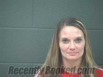 Recent Booking / Mugshot for JESSICA O'BRIEN in Morrow County, Ohio